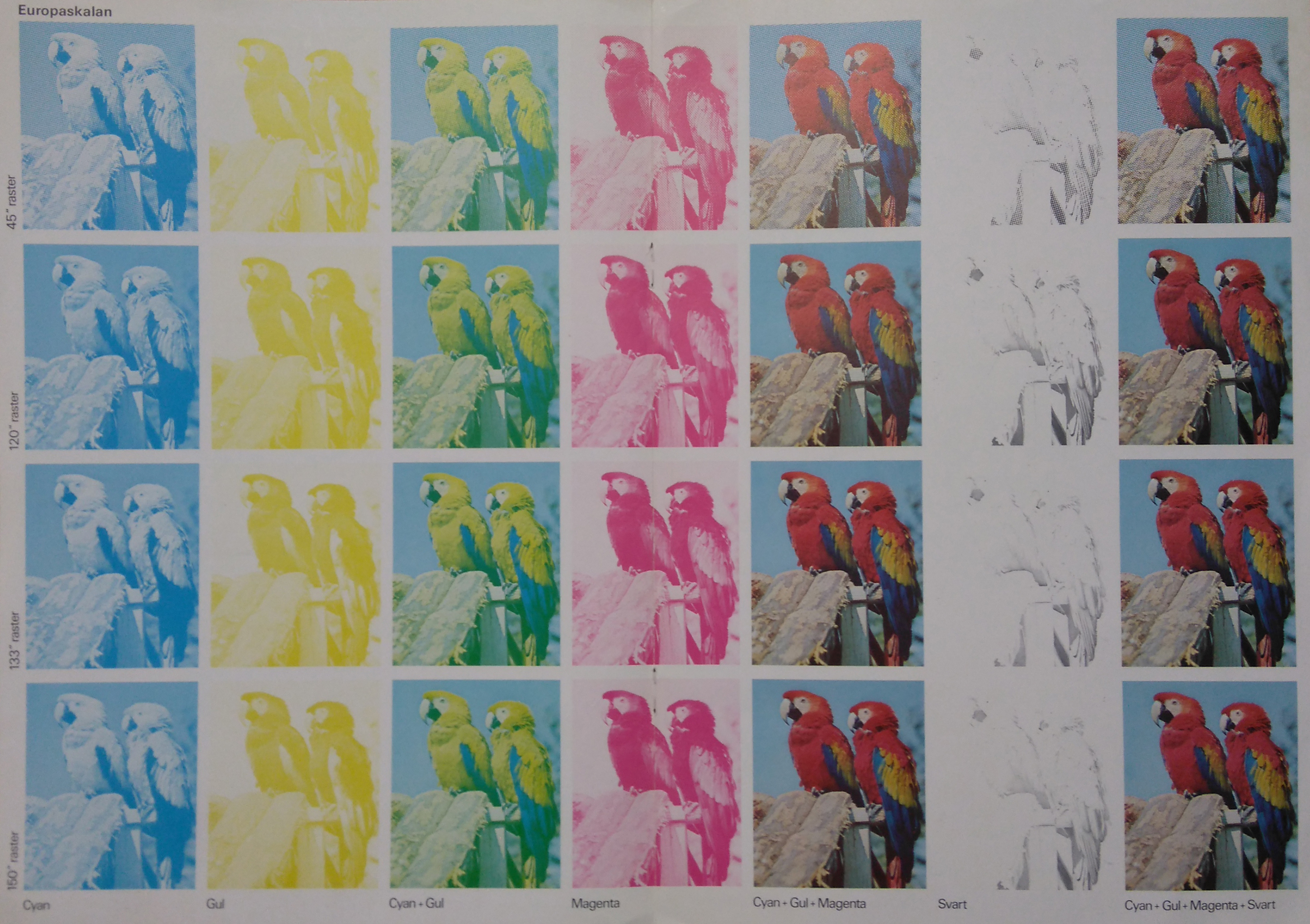 4 x s/hv = farge - IDDIS